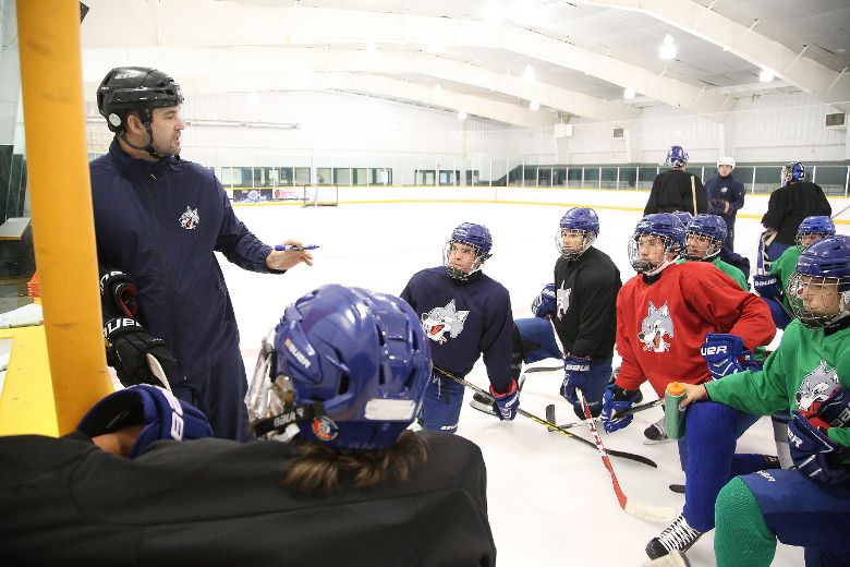 Minor midget Wolves to take on the North | Sudbury Star