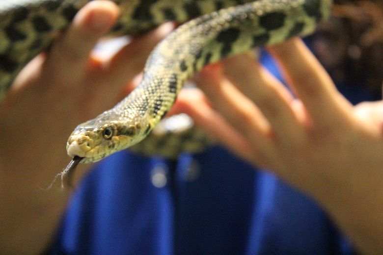 Science North signs Chinese deal | Sudbury Star