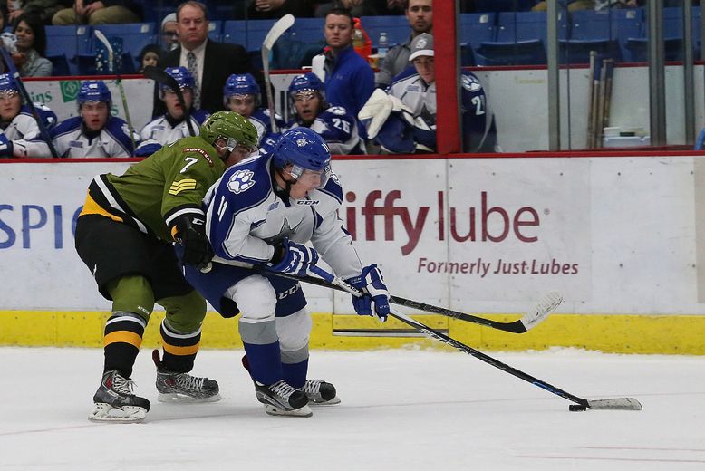 Wolves' Lyszczarczyk a pleasant surprise | Sudbury Star