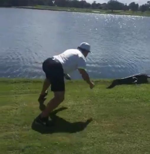 Jeremy Roenick lunges at alligator during round of golf | Toronto Sun