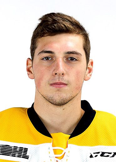 Helvig makes 40 saves in Kingston's 4-1 victory over Oshawa | The ...