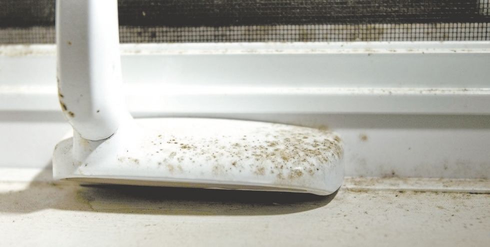 A Closer Look: Humidity levels, ventilation key to controlling mould ...