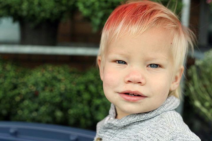 Column:Boys are nuts | Seaforth Huron Expositor