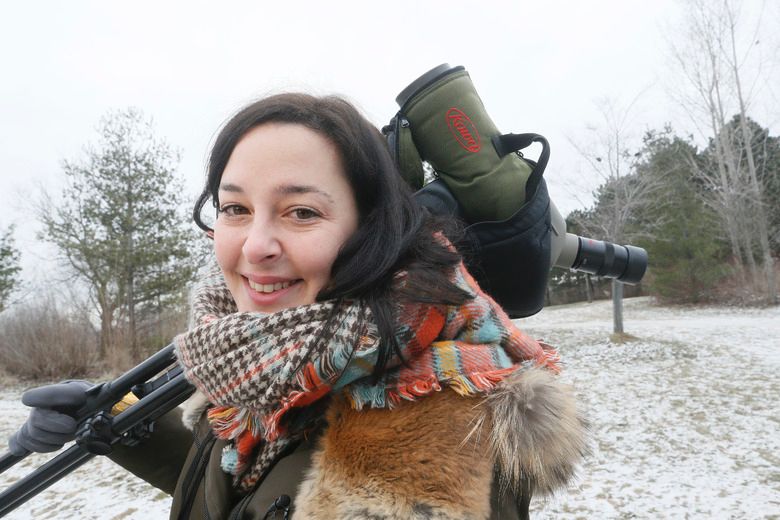 The birds that don't fly south for the winter and the birdwatchers who ...