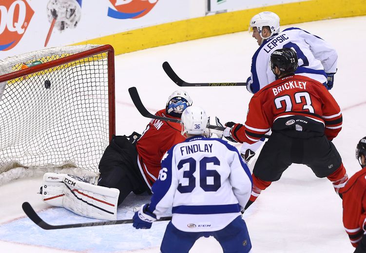 Leafs' Babcock excited about skill on Marlies | Toronto Sun