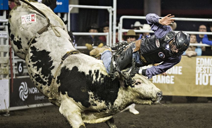 Canadian Finals Rodeo to be held in Saskatoon starting in 2017 ...