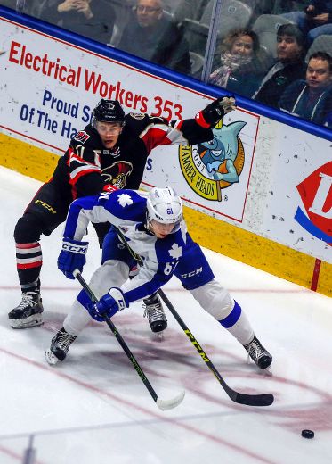 Valiev, five other Leafs call-ups to face Senators | Toronto Sun