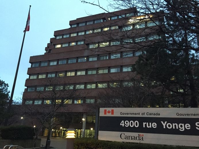 Forces stabbing suspect 'very scared,' lawyer says | Toronto Sun