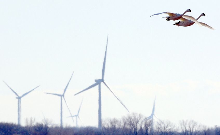Blue Point resident says monitoring at Cedar Point Wind site should ...