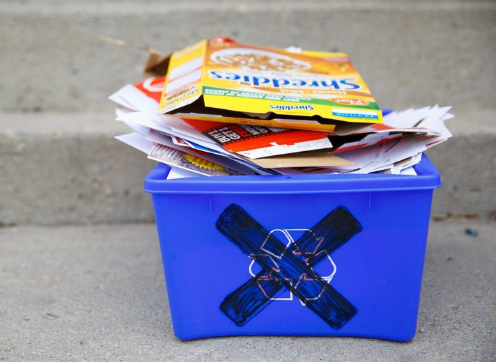 Recycling and organics carts to be evaluated in summer education ...