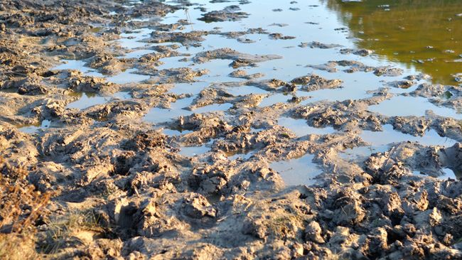 'Things can go bad pretty quickly:' firefighter who rescued boy sinking ...