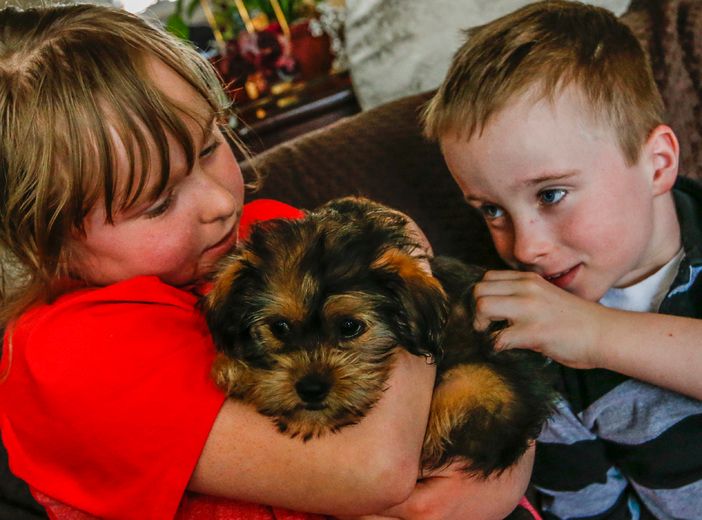 Puppy helping console broken hearts of Rob Ford's family | Toronto Sun