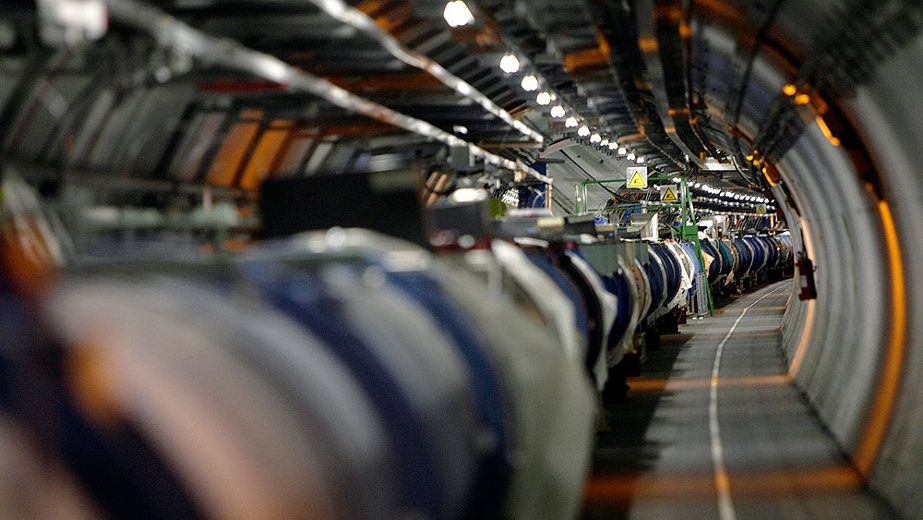 Weasel climbs into Large Hadron Collider | Toronto Sun