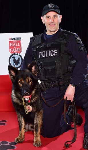 Toronto Police dog among hero hounds honoured | Toronto Sun