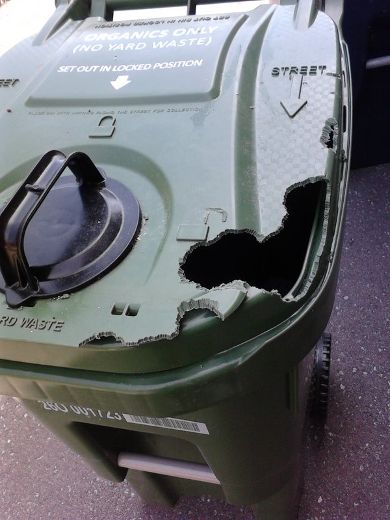 Just add hot sauce to green bin: City | Toronto Sun