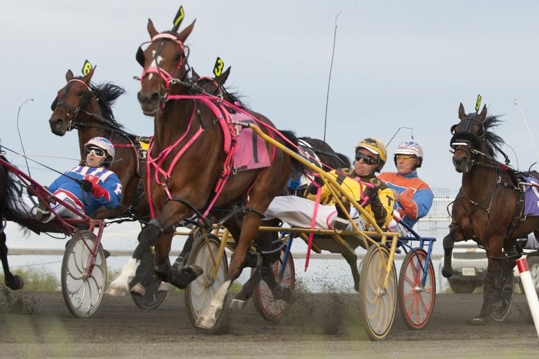 Harness racing in Henry's blood | Toronto Sun