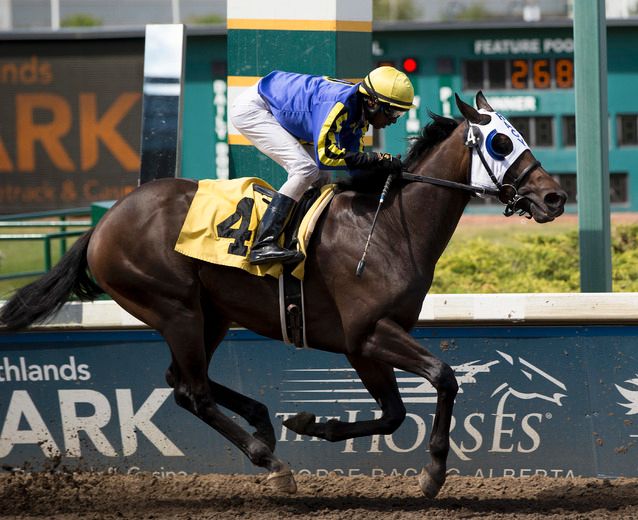 Edmonton's Northlands Park sees quartet of feature races this weekend ...