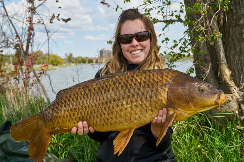 Keep your eyes peeled when targeting carp | The Kingston Whig Standard
