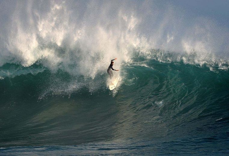 Surfer loses leg in shark attack off west Australia | Toronto Sun