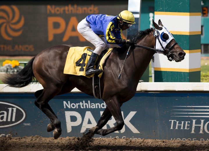 Trio of races set to heat up Northlands track this weekend | Edmonton Sun