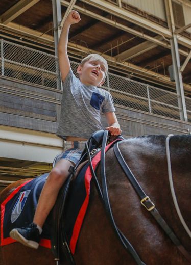 Police horse named after slain Sgt. Ryan Russell | Toronto Sun