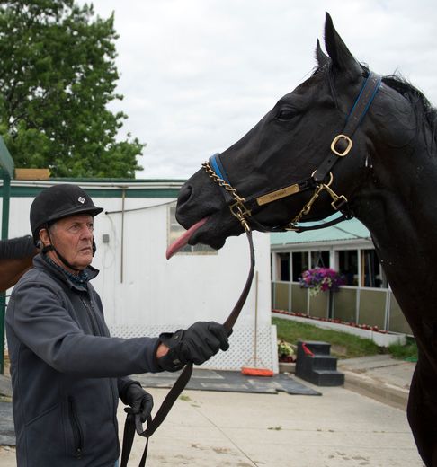 Roger Attfield can add to his legacy at Queen's Plate | Toronto Sun