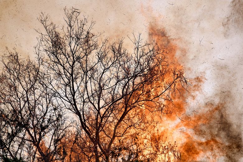 Crews called in to help battle wildfire near Delta, B.C. | Toronto Sun