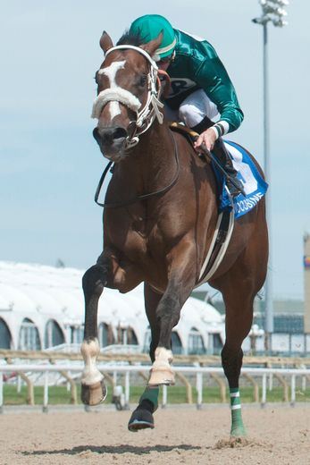 John Ross may have a gem in Lokinforpursemonee | Toronto Sun