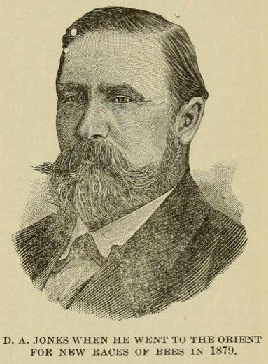 Beeton bee baron's buzz went bust | Sudbury Star