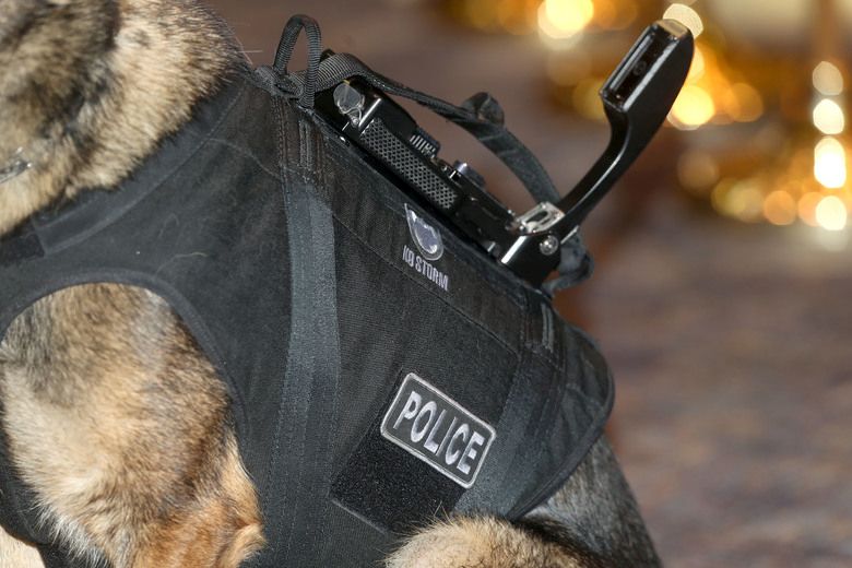 Bulletproof vests strapped with cameras for RCMP K9s | Winnipeg Sun