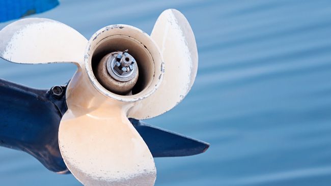 Boy dies after falling from boat, being hit by propeller | Toronto Sun