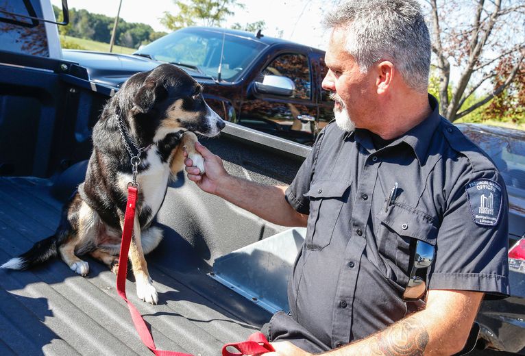 Hairy times for Toronto's Animal Control | Toronto Sun