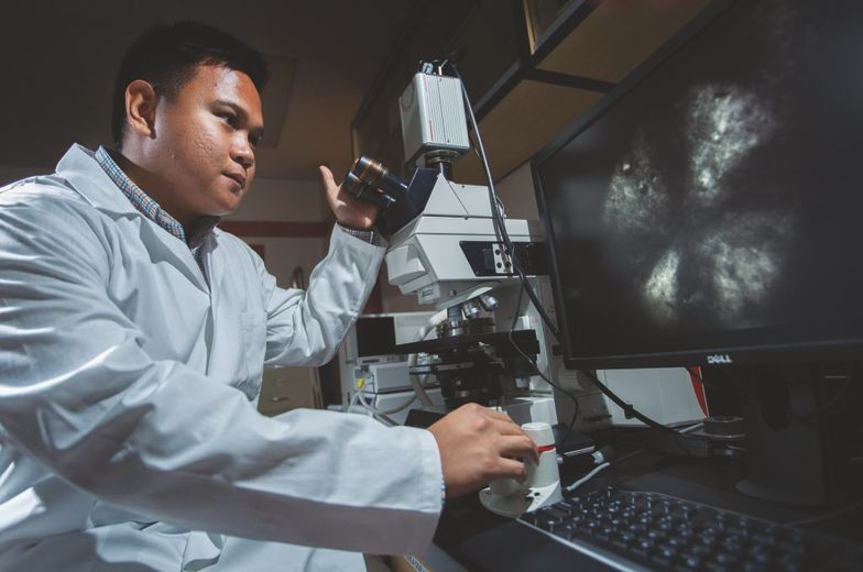 Food science focuses on innovation | Toronto Sun