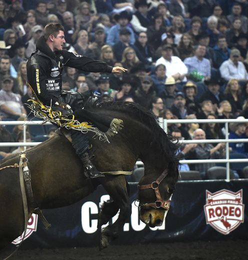 Bull rider Jordan Hansen returns from injury to claim national title ...