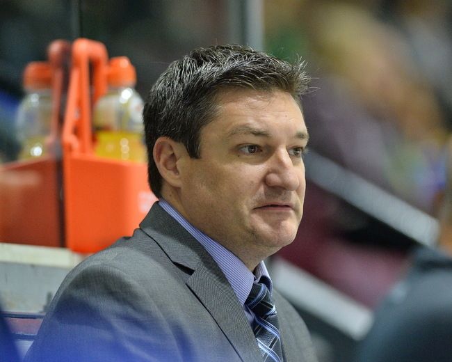 Moxam to take over behind Wolves bench | Sudbury Star