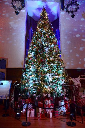 Colin and Justin: Tree dressing 101 | Toronto Sun