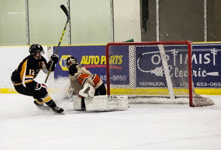 Tigers end season in a sea of black and yellow | Vermilion Standard