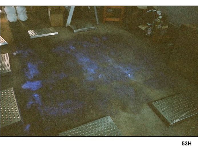 I escaped killer Mark Twitchell | Toronto Sun