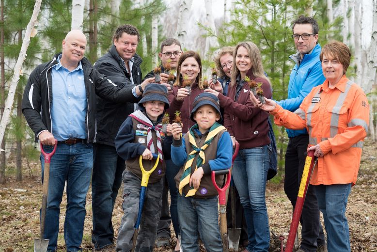 Trees headed to Kivi Park in Sudbury | Sudbury Star