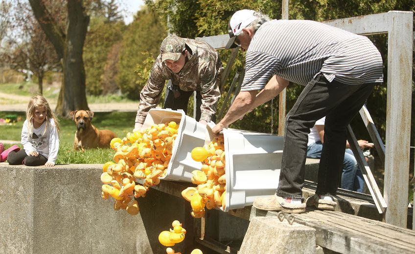 All 500 ducks floated to the finish line | Seaforth Huron Expositor