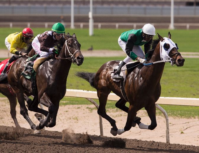 Short: Decline at Northlands as horse racing set to move to new venue ...