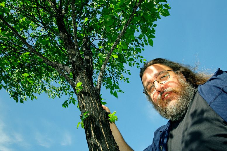 Edmonton elms under attack by elm scale infestation | Edmonton Sun