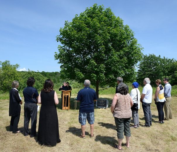 RMC rededicated a tree Friday to honour Chad Pettit, a student who ...