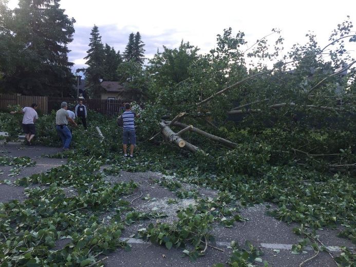 Red Deer storm: State of emergency declared after powerful winds wreak ...