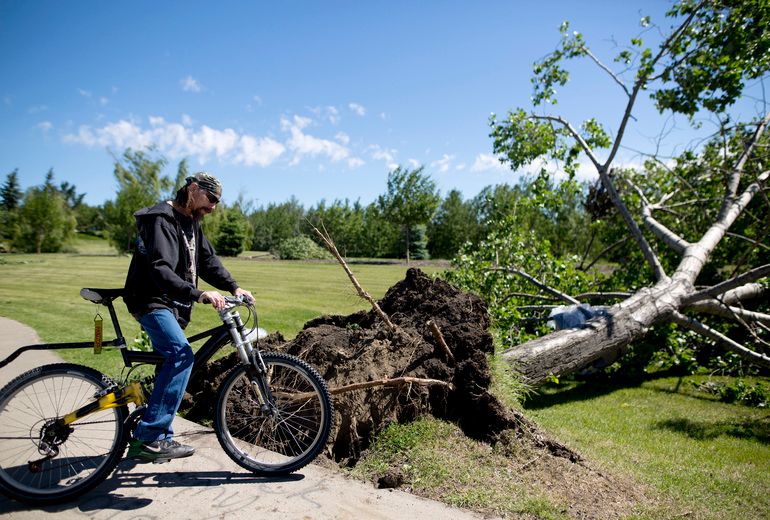 Red Deer storm: State of emergency declared after powerful winds wreak ...