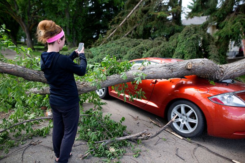 Red Deer storm: State of emergency declared after powerful winds wreak ...