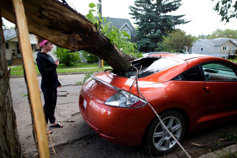 Red Deer storm: State of emergency declared after powerful winds wreak ...