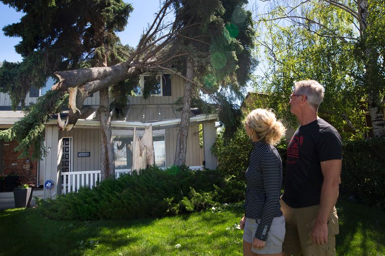 Red Deer storm: State of emergency declared after powerful winds wreak ...