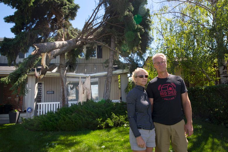 Red Deer storm: State of emergency declared after powerful winds wreak ...