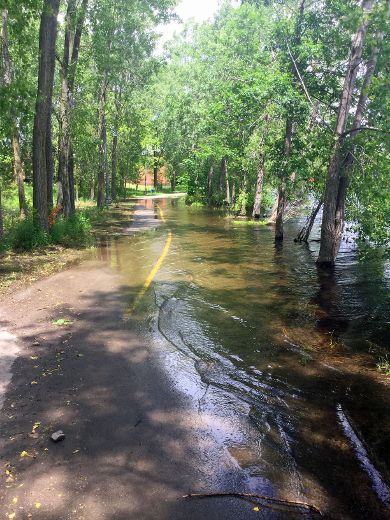 PHOTOS: A look at Belleville's Waterfront Trail (June 21) | Belleville ...